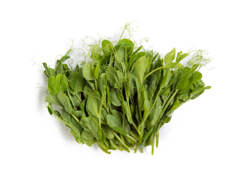 Produce Wholesaler Chicago, IL | Asian Produce & Vegetables